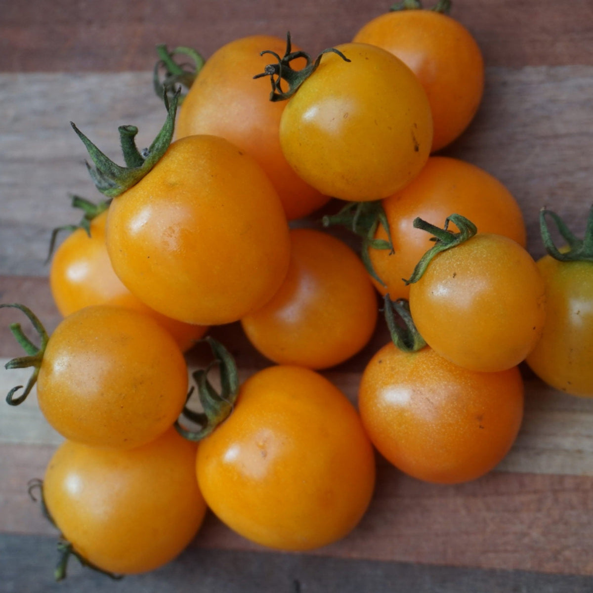 Tomato: Honeydrop – Foundroot