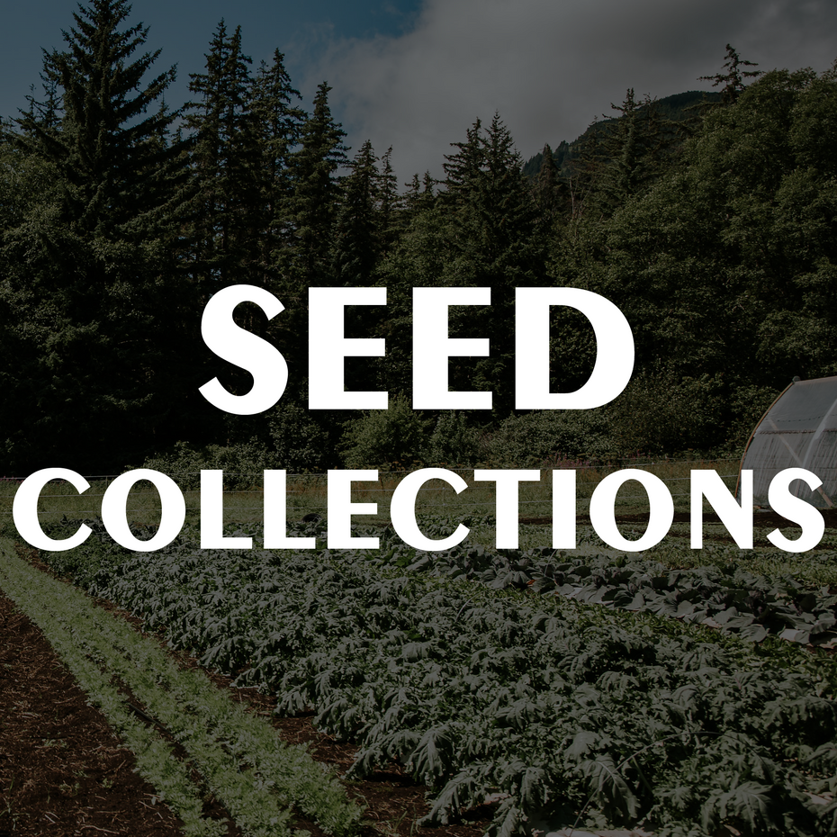 The Seed Shop – Page 5 – Foundroot