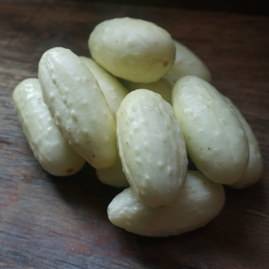 Cucumber: Mini White – Foundroot
