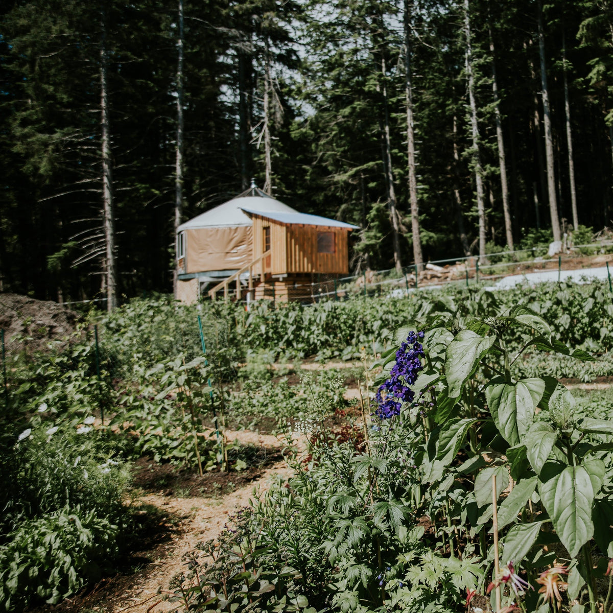 The Alaskan Homesteader: A Subsistence Collection – Foundroot