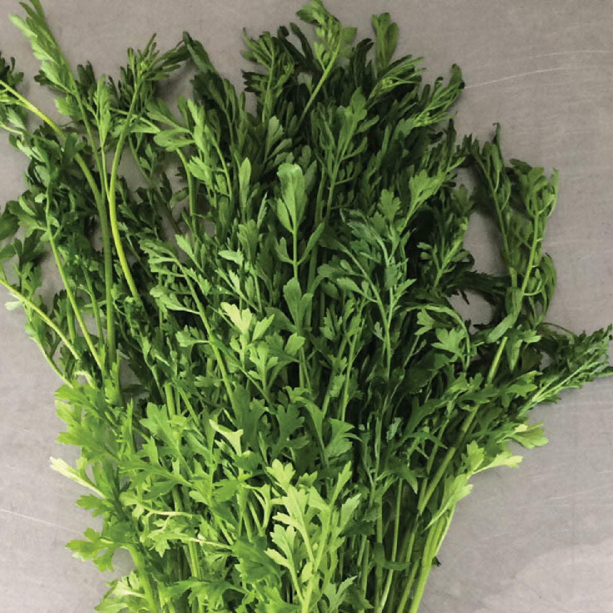 Cress: Chamsur – Foundroot